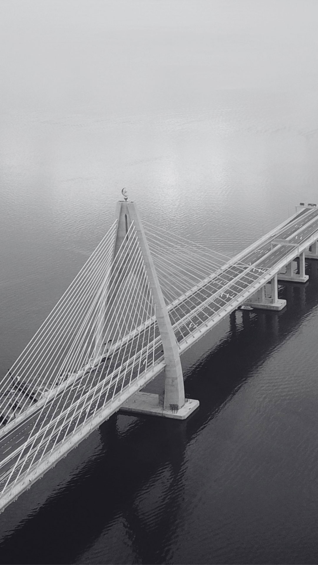 Brunei Temburong Bridge Project - UBSB